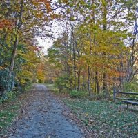 My Poems | Michael Comiskey's Writing